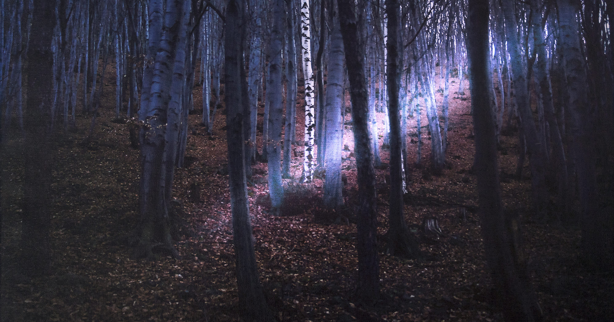 Radiance – The Creative view on the World | The Radiance Art Project